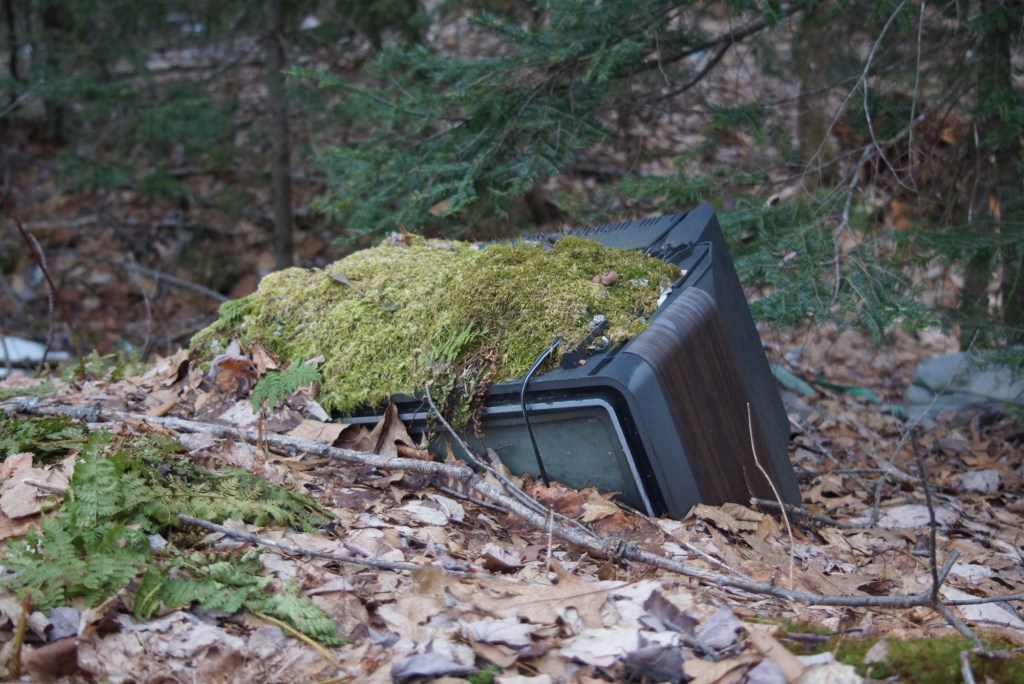 Ōsōji – Green Wood Spoon Maker